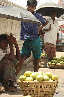AMAZING BANGLADESH: SHATKORA : THE POPULAR RECIPE