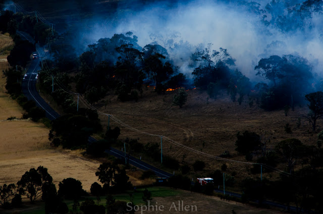 iSophie: The -worst- day ever! (Bushfires)