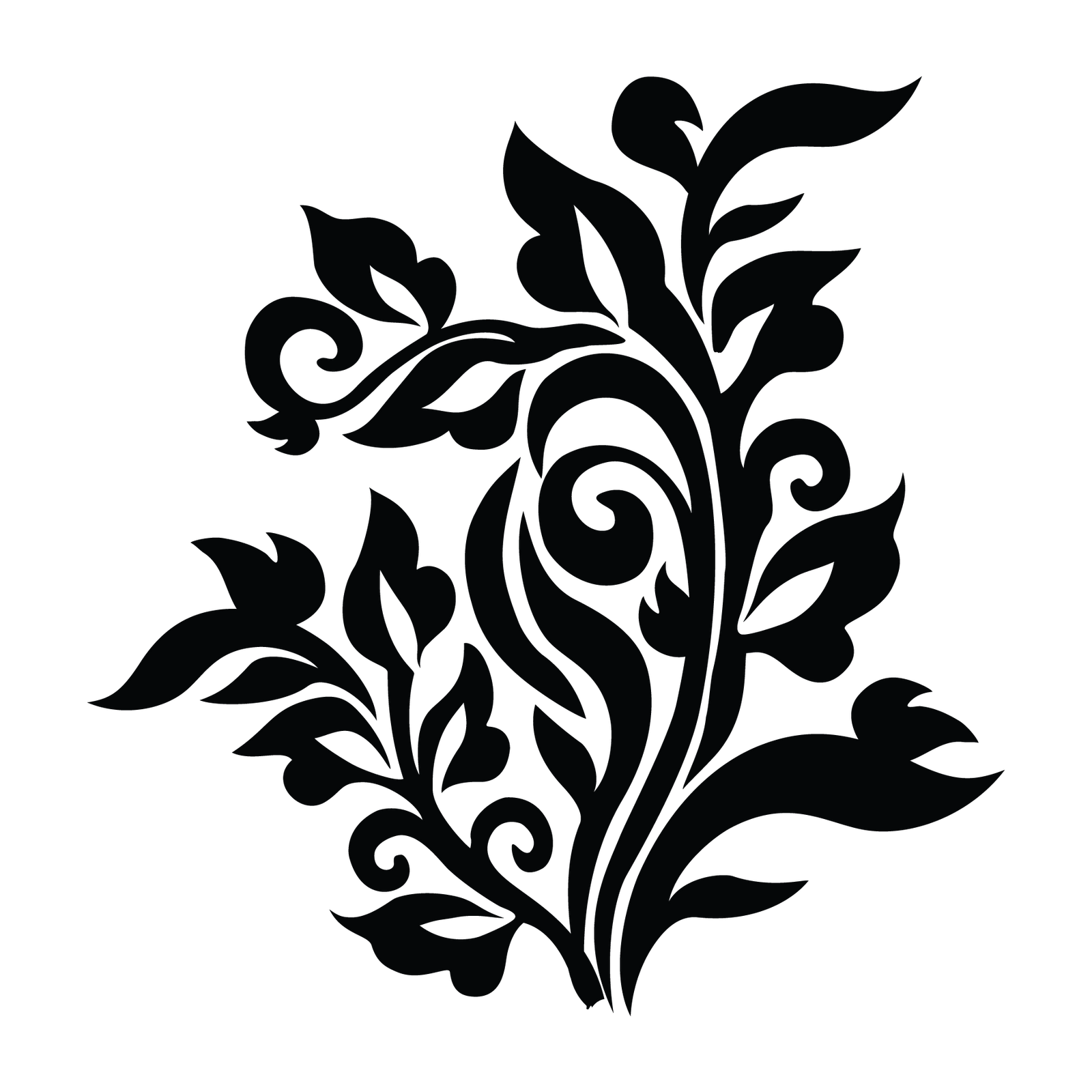 Gambar Bunga Floral Pattern Transparent | Fauzi Blog