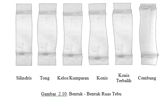 Bagian Bagian Dari Batang Tebu - tes