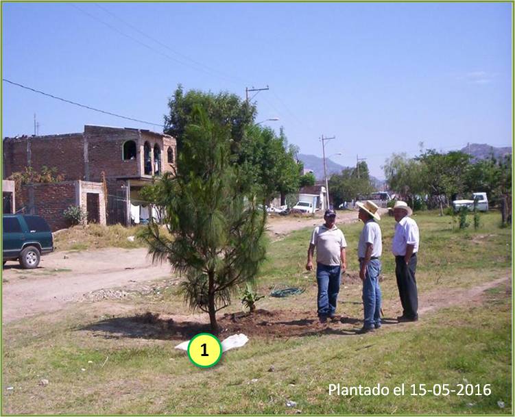 Parque Eco-Educativo.. Iniciativa Ciudadana: Primer árbol plantado ...