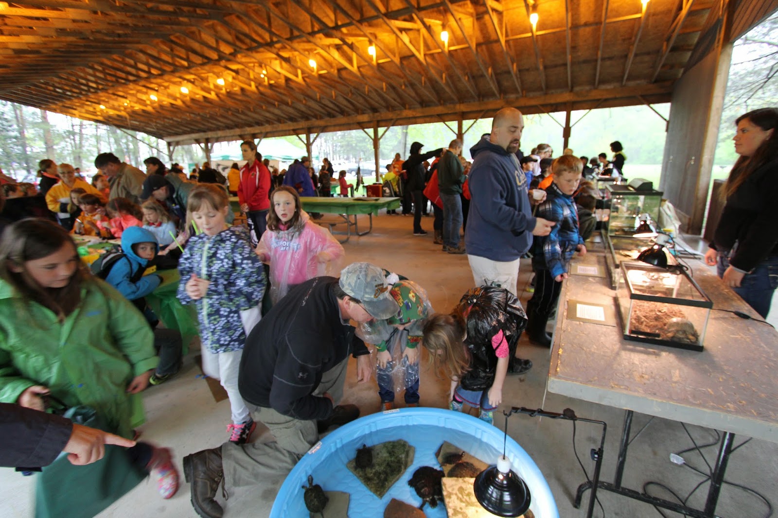 Isabella Conservation District Environmental Education Program: 2015 ...