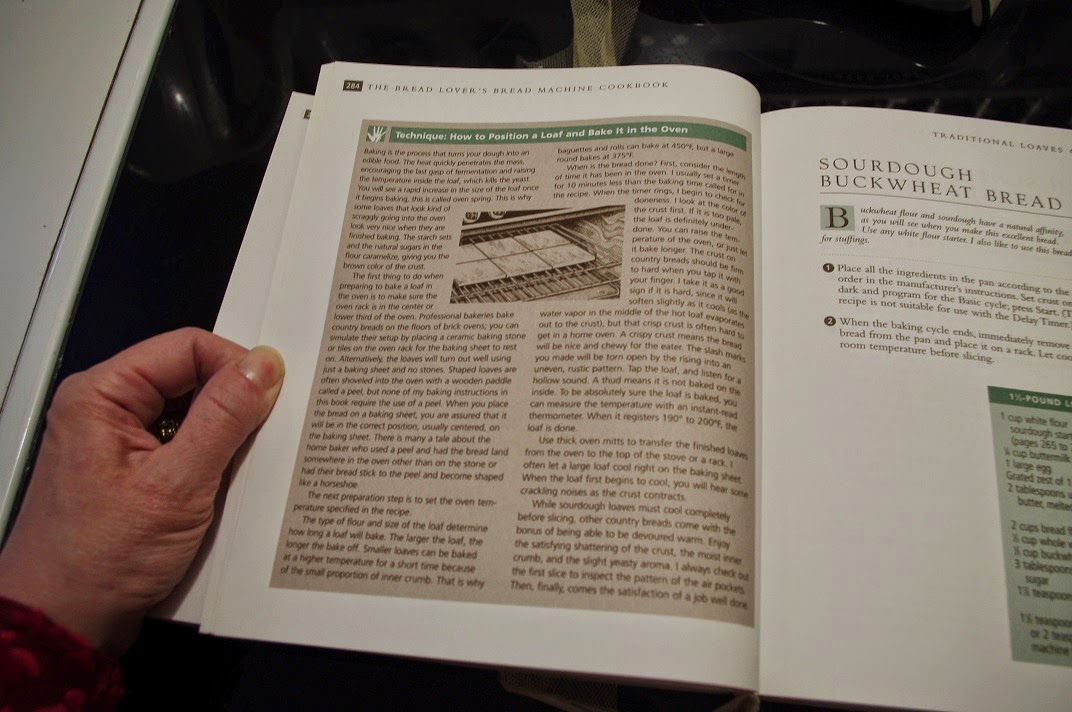 Modern Day Ozzie and Harriet: Cookbook Wednesday: Bread