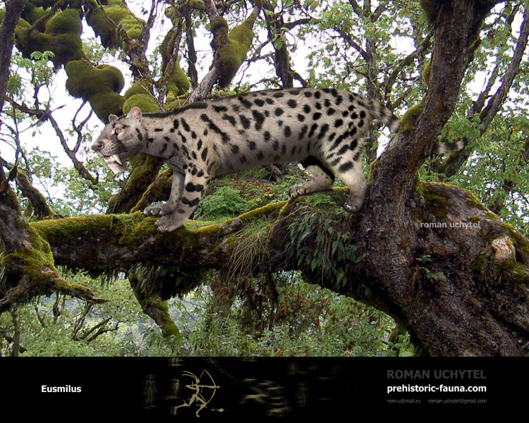 Palaeos, la historia de la Vida en la Tierra: septiembre 2011