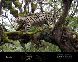 Palaeos, la historia de la Vida en la Tierra: septiembre 2011