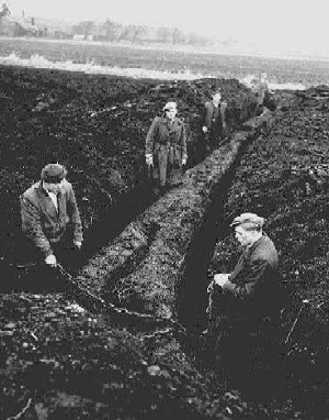 Michael T Shue Studios Wood Blog: Celtic Irish Bog Oak