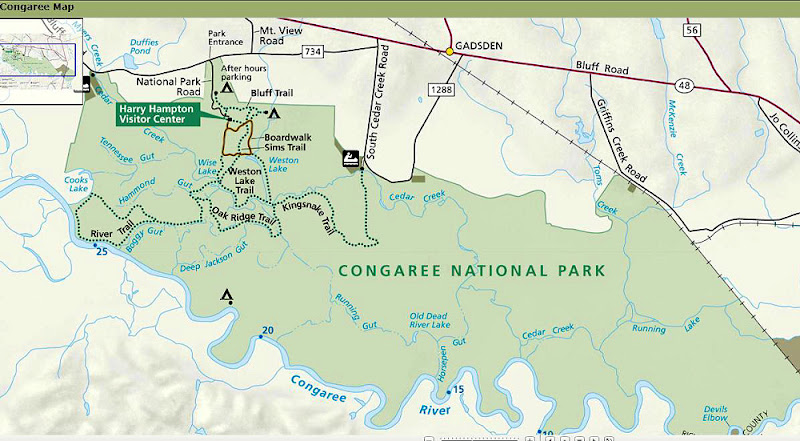 NANCY and BILL: Congaree National Park- Friday - June 29, 2012