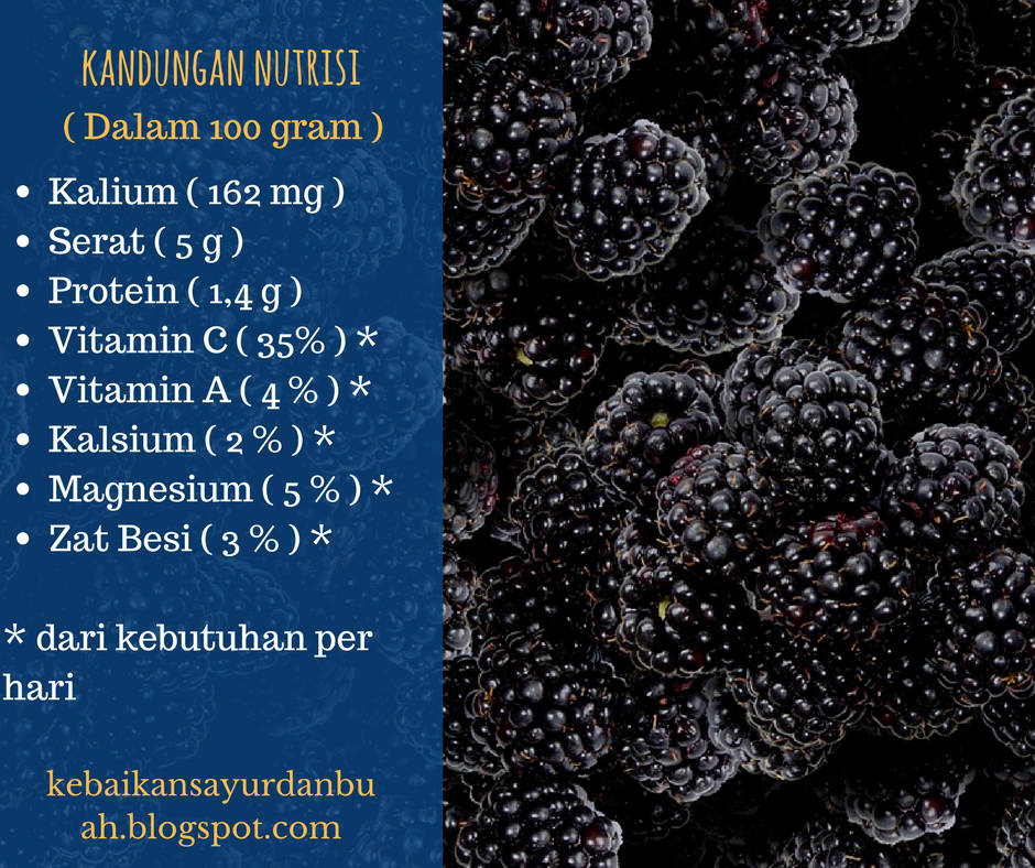 Inilah manfaat buah Hamlam untuk tubuh | Bersosial.com