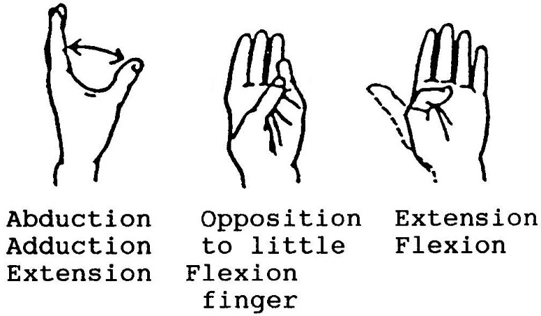 Gerakan ROM Beserta Gambarnya - Catatan Perawat