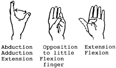 Ide-ide Perawat: Macam Macam Gerakan ROM