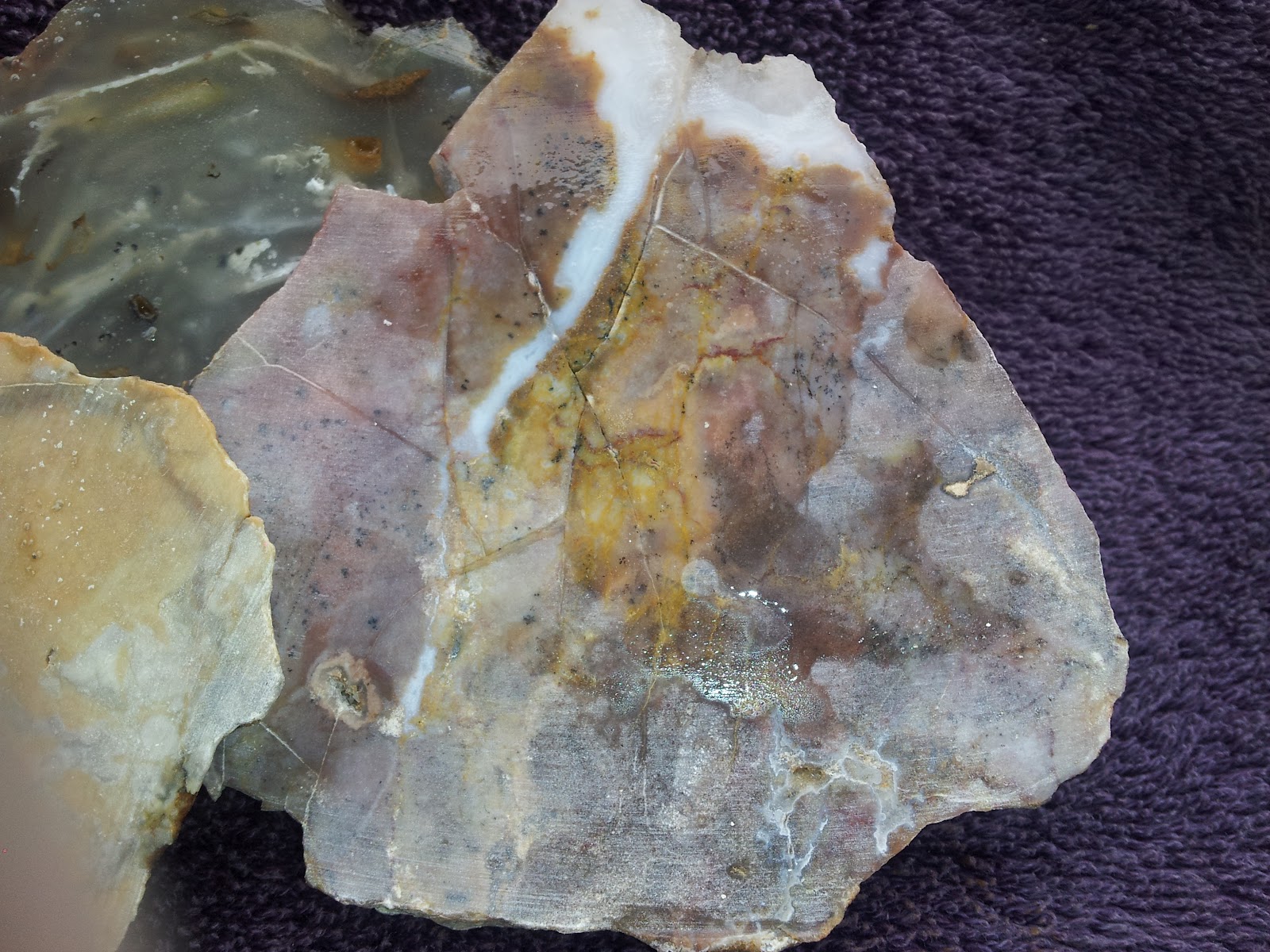 Between the Jackets: Rockhounding Junkies--part one