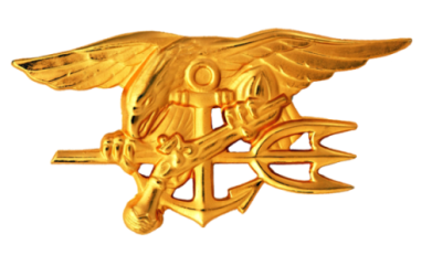 Featured Design: The Official Logo of the US Navy SEAL | DigitPlace Blog