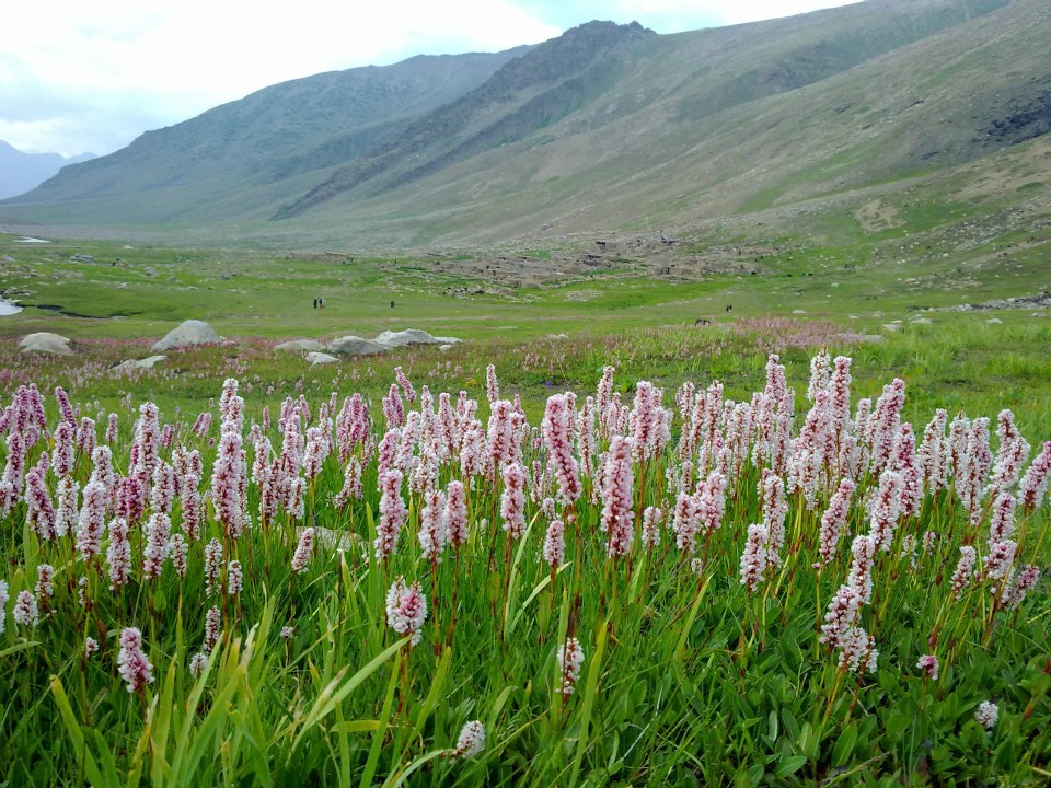 Explore the Beauty of Pakistan: Suppat Valley Kohistan KPK Pakistan