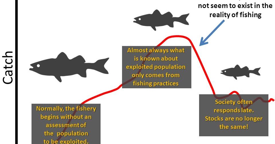The Humboldt Current System: Sustainable Yield in Fisheries