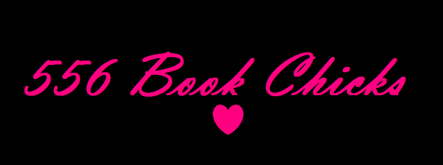 556 Book Chicks: The New York Streets...