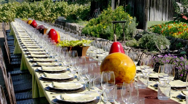 Simply Suzanne's AT HOME: dining in a vineyard