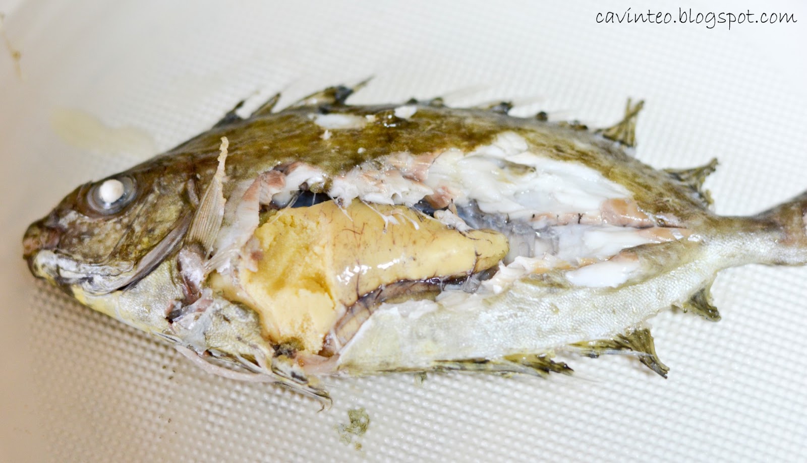 Entree Kibbles: The Fish That's a Must Have for Chinese New Year ...