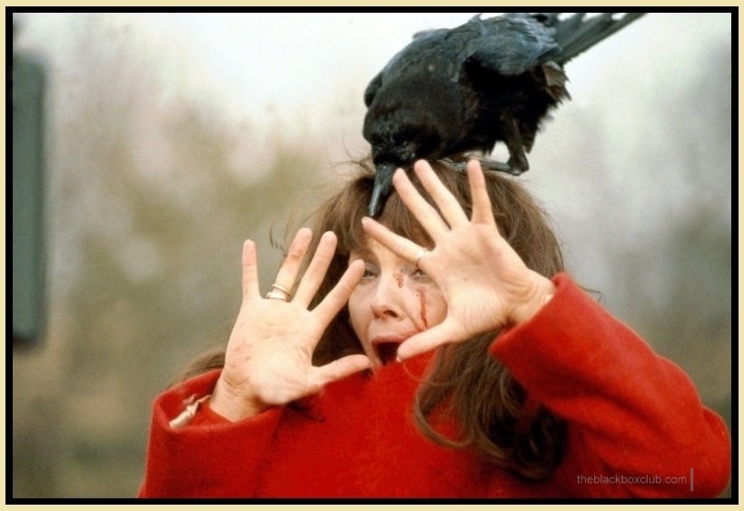 The Black Box Club: DAMIEN: THE OMEN II: FILM REVIEW AND LOBBY CARD GALLERY