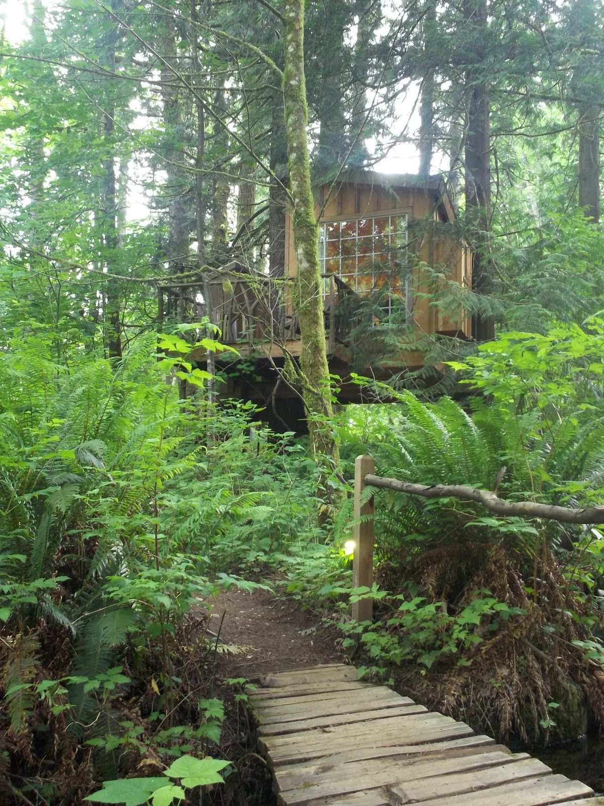 Kent's Bike Blog: June 2012