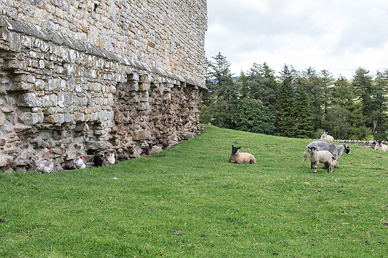 Photographing my travels: Singing course at Stones Barn Cumbria