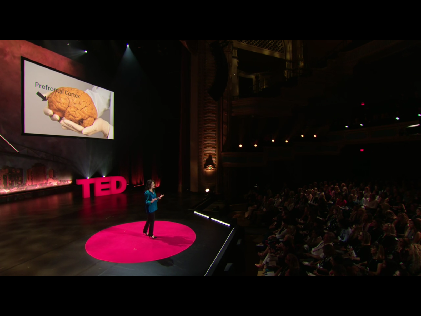PULS+ : Ted Talks: The brain-changing benefits of exercise.