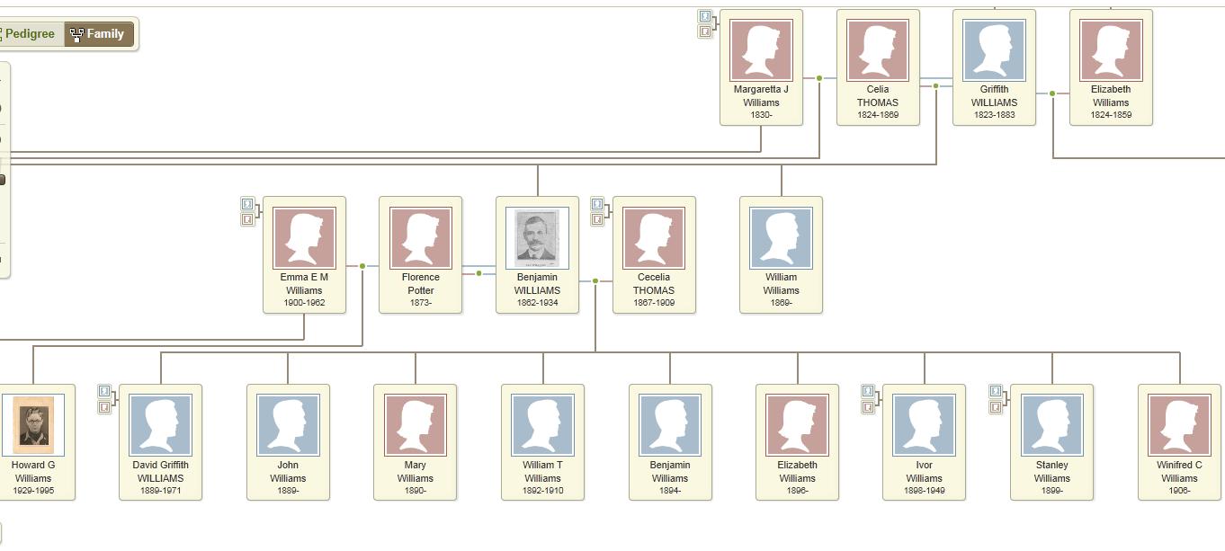 Williams Family Tree: November 2012
