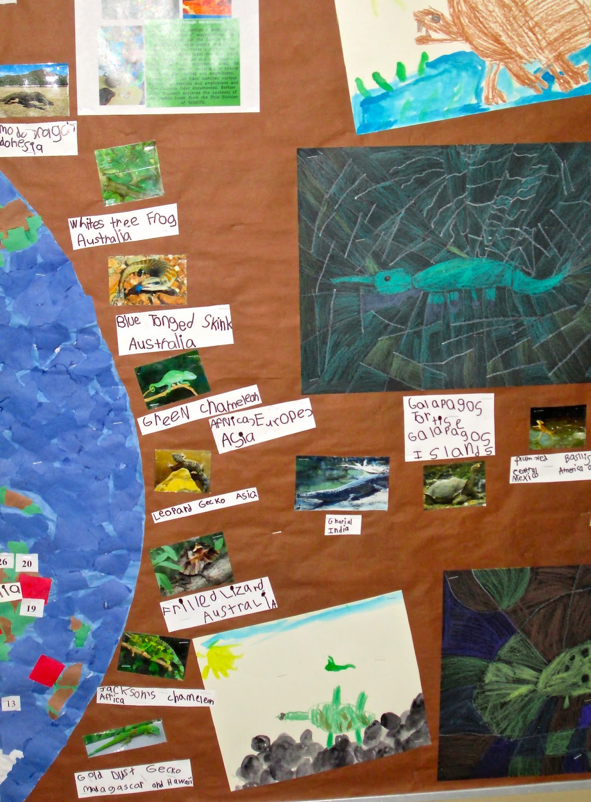 Mrs. Garrabrant's Classroom: Preparing For Our Reptile/Amphibian Open ...