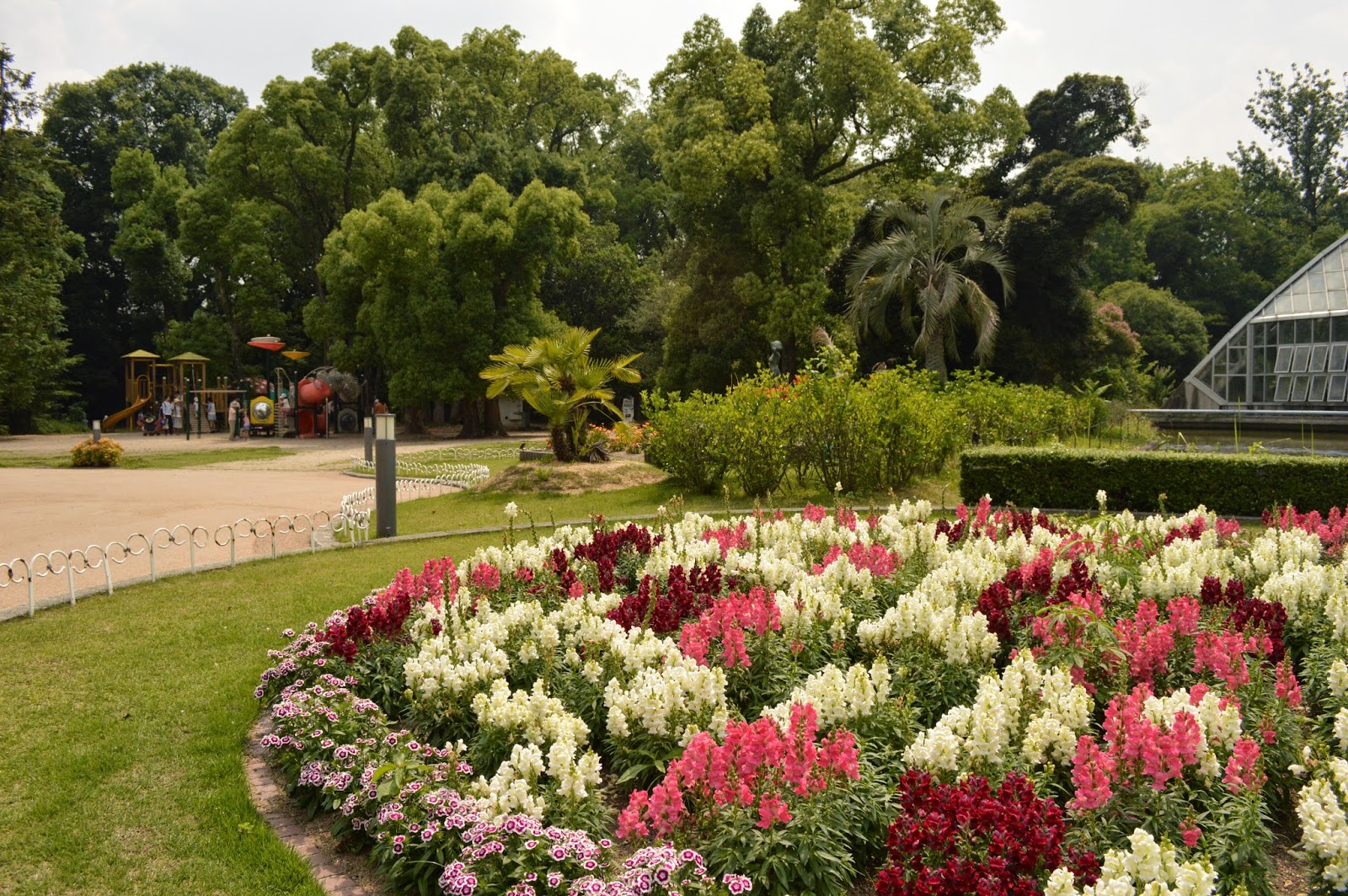Adventures in Japan: Kyoto Botanical Garden