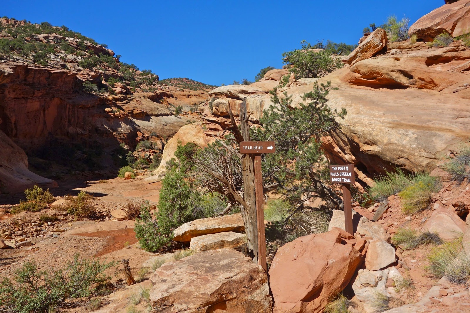 Earthline: The American West: Capitol Reef National Park: Lower Muley ...
