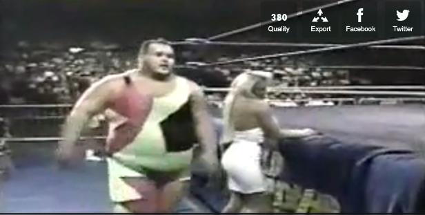 Cheating Wrestling Valets: 5. Lady Blossom (Stunning Steve Austin Vs PN ...