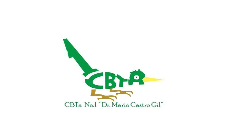 Actividades: logotipo CBTA 1" Dr. Mario Castro Gil",La partida ...