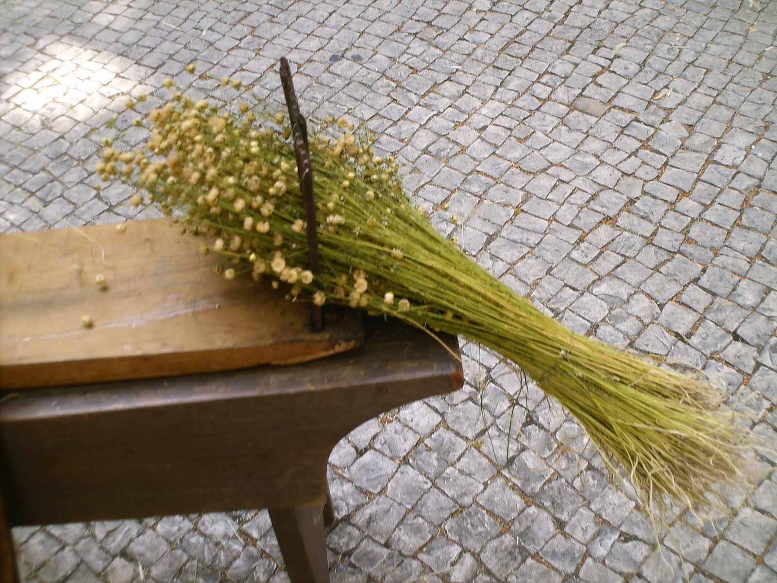 BlogDosForninhenses: Cultivo do Linho