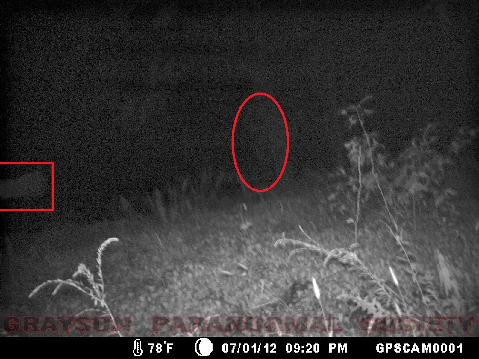 A Day In The Life of a Ghost Hunter: Best Photo Evidence From Honey ...