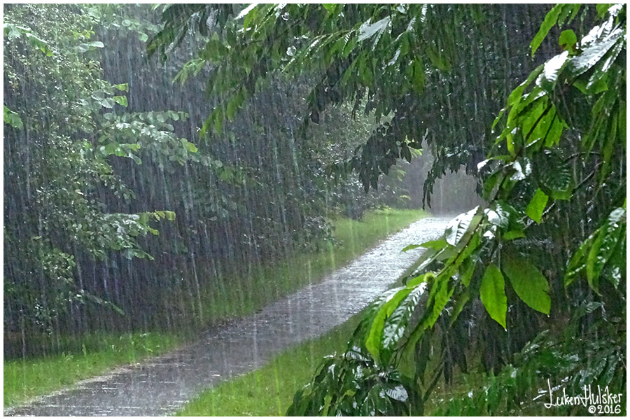 LH VANDAAG: ....en toen kwam de regen met bakken uit de hemel vallen.....