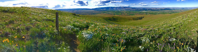Life is a mountain.: Cowiche Mountain/Snow Mountain Ranch - Yakima, WA