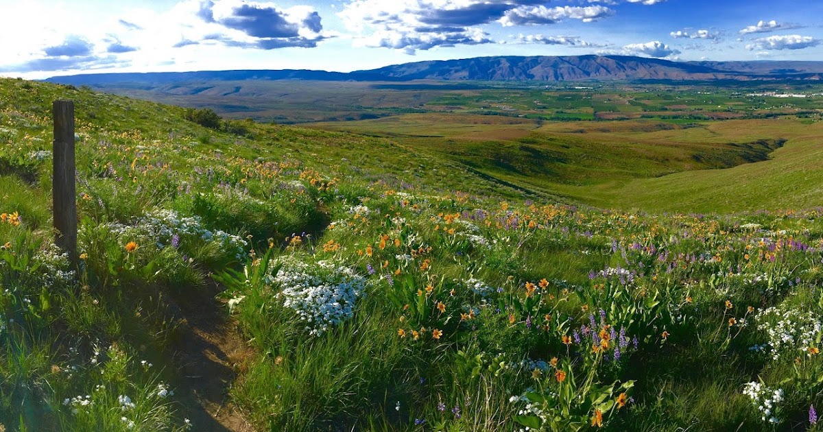 Life is a mountain.: Cowiche Mountain/Snow Mountain Ranch - Yakima, WA