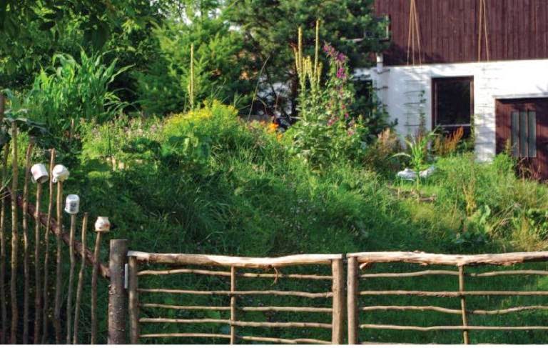 Zahrádka a moje malá slepičí farma: Přírodní plot