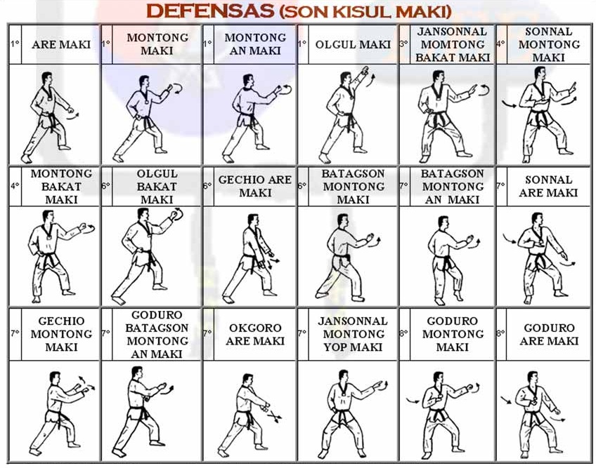 Principais Golpes Do Taekwondo - LIBRAIN