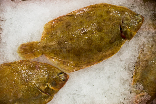 Through the Gaps! - Newlyn Fishing News: Monday morning market in ...