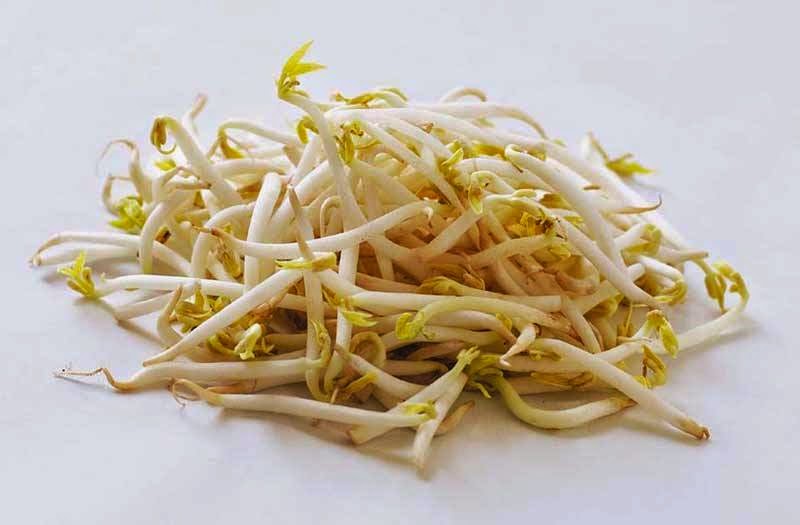 Pengedar Shaklee Ampang-KL (Ekin Hoza): Khasiat Taugeh untuk kesuburan