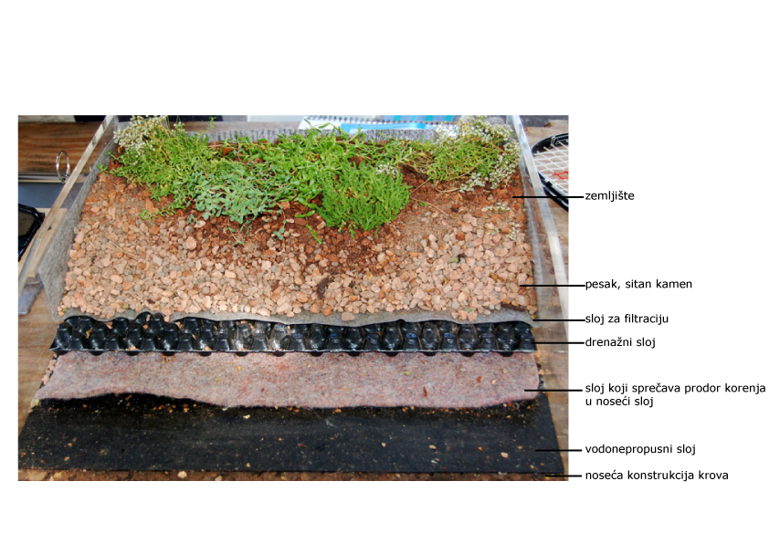 Energetska efikasnost: Zeleni krovovi 2. deo