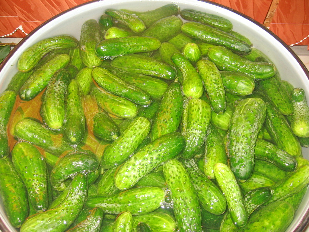 Castraveti in saramura by Daniela « In Bucatarie La Sidy
