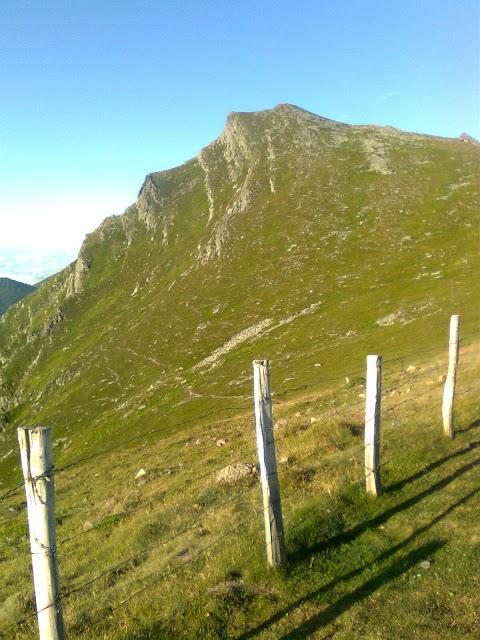 VIZCAYADO: EL COLLADO