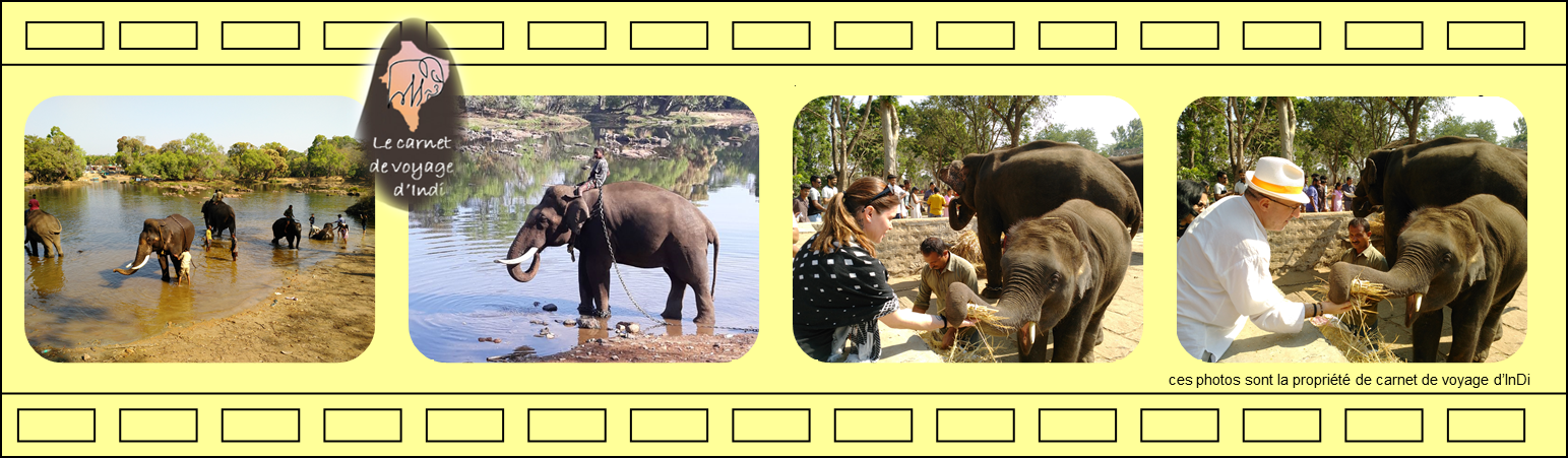 Le carnet de voyage d'Indi: Partageriez-vous votre bain avec Ganesh ...