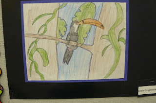 Learning in Room 206: Toucan Directed Drawings