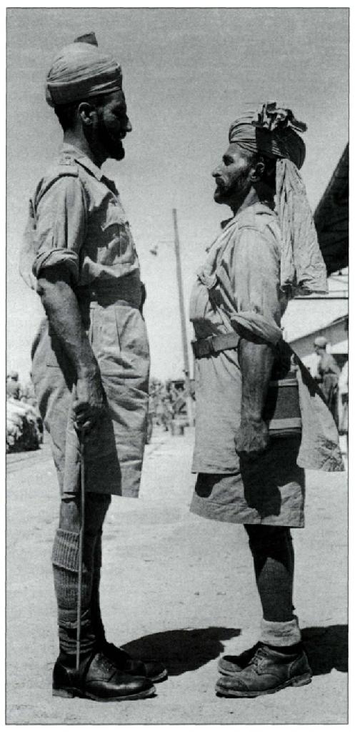 FDRA - Fuerza Terrestre: SGM: ORBAT del Ejército Indio