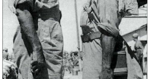 FDRA - Fuerza Terrestre: SGM: ORBAT del Ejército Indio