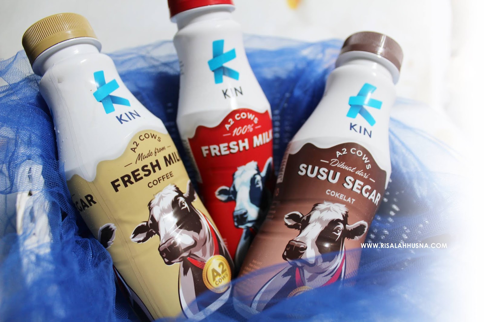 Risalah Husna: Mual Saat Minum Susu? Minum Susu Dengan Protein A2, Deh