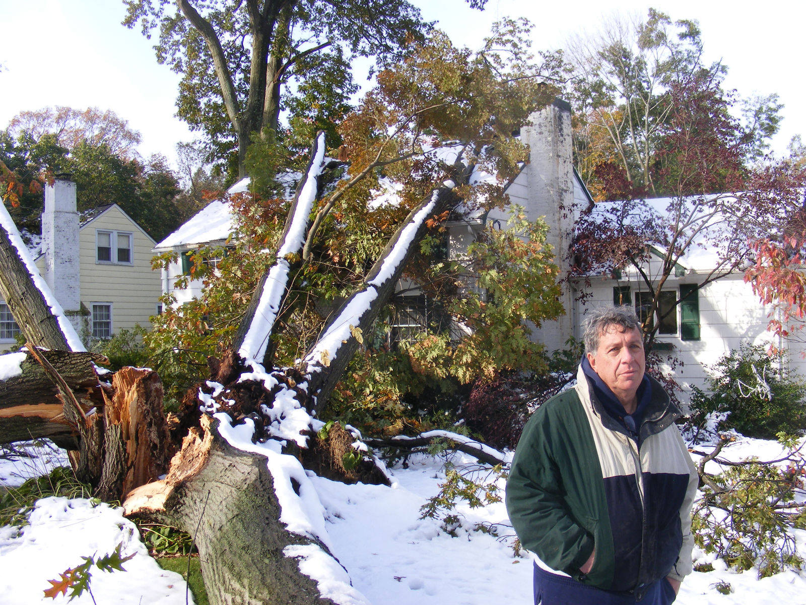 >Tree into house at 238 Gateway Road.
