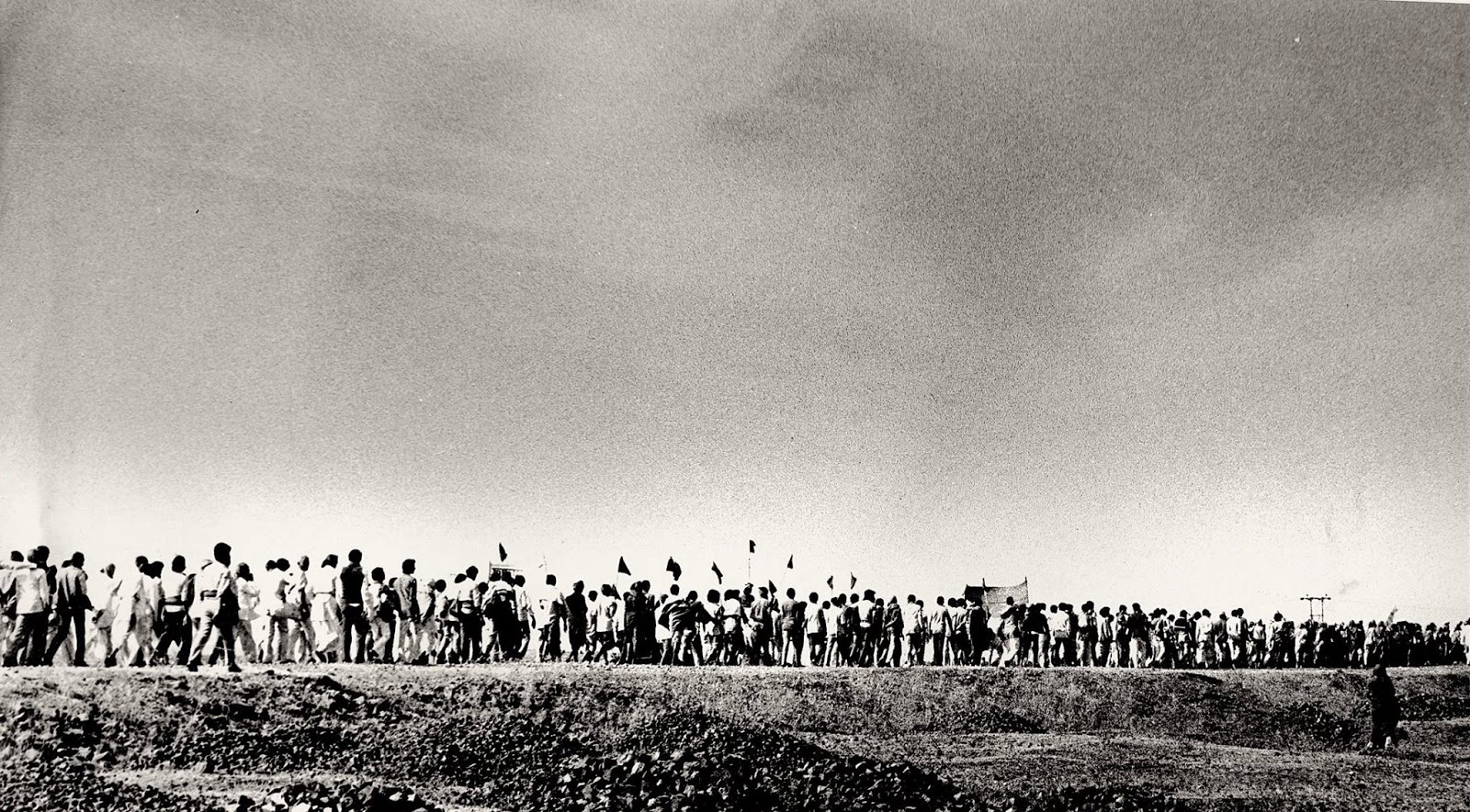 Necessary Journeys: Narmada Bachao Andolan - 30 years of India's ...